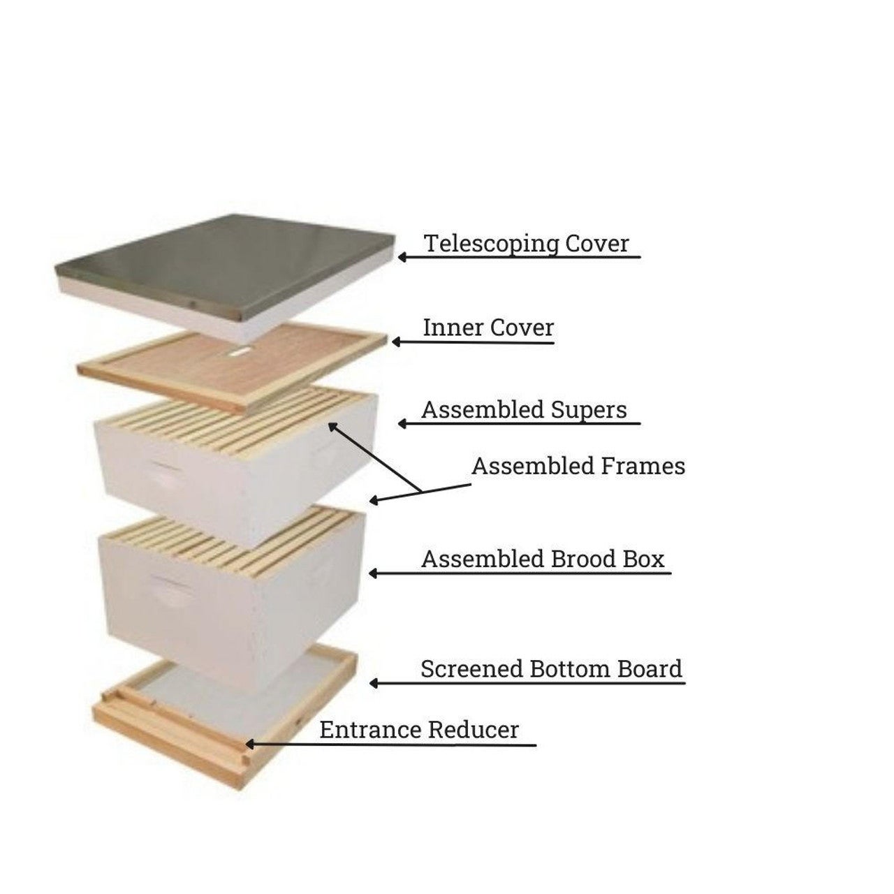 Complete 10 Frame Hive Kit painted | Forester Farms and Apiary