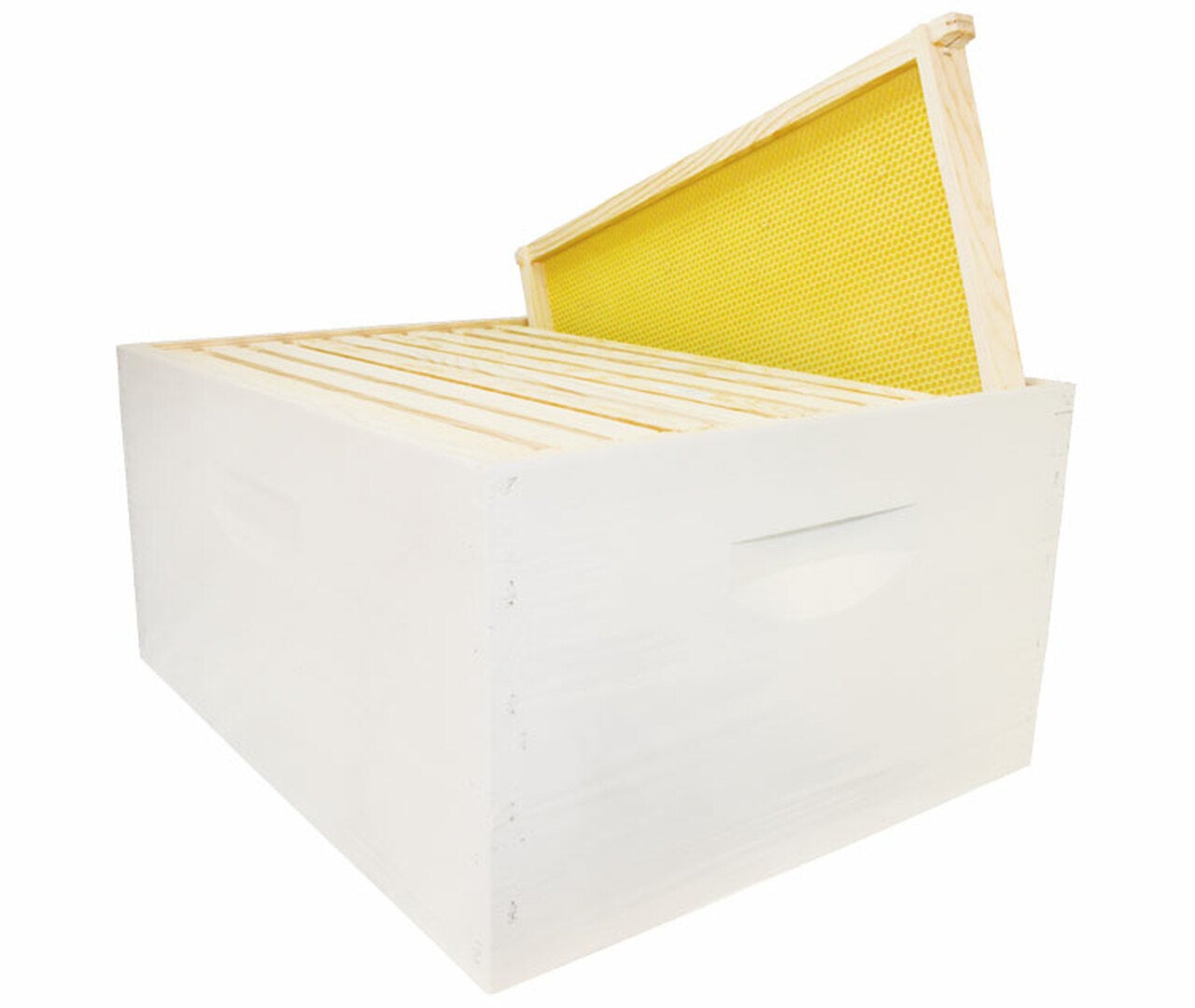 Assembled Deep Painted 10 frame hive body with Frames | Forester Farms ...