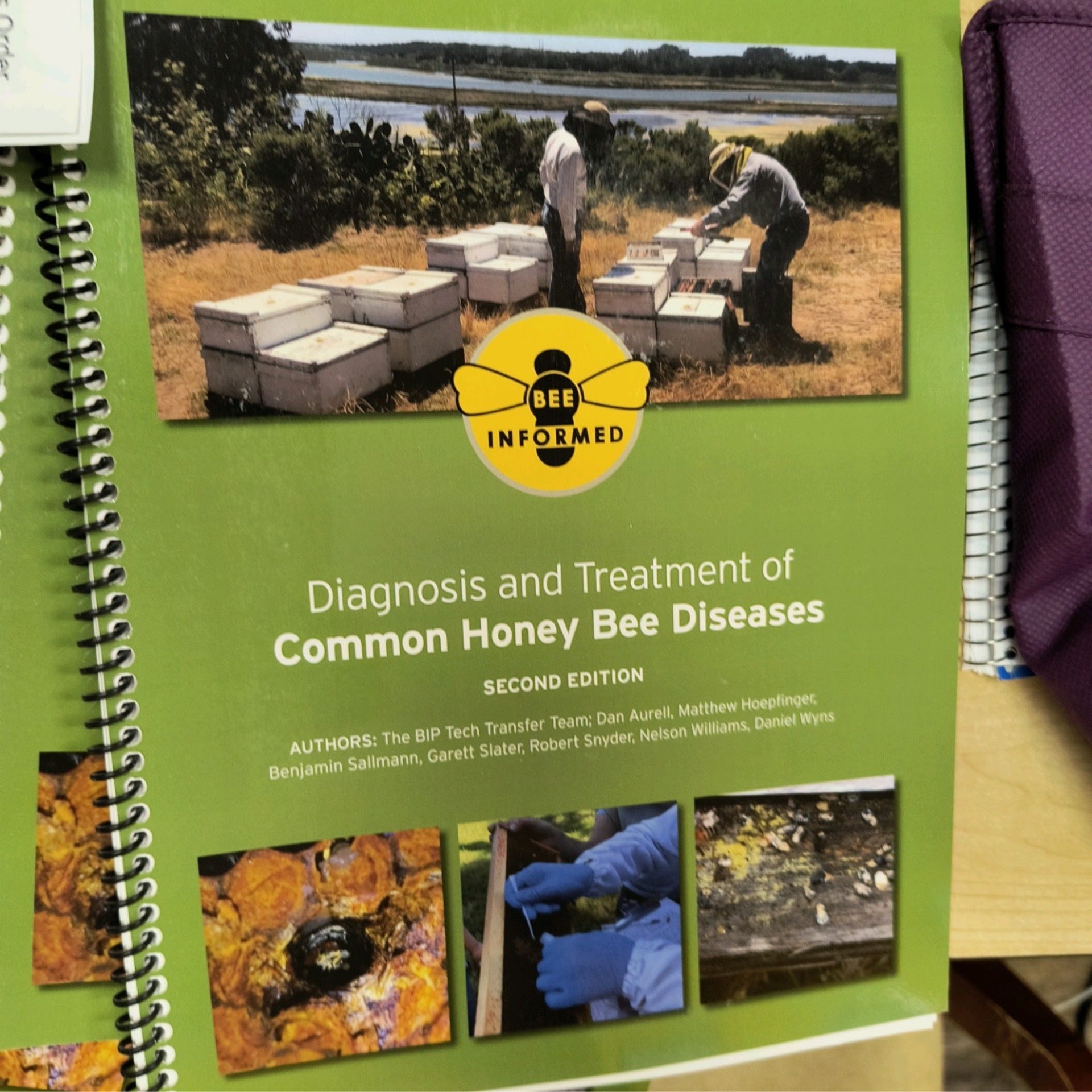 Diagnosis and Treatment of Honeybee Diseases | Forester Farms and Apiary