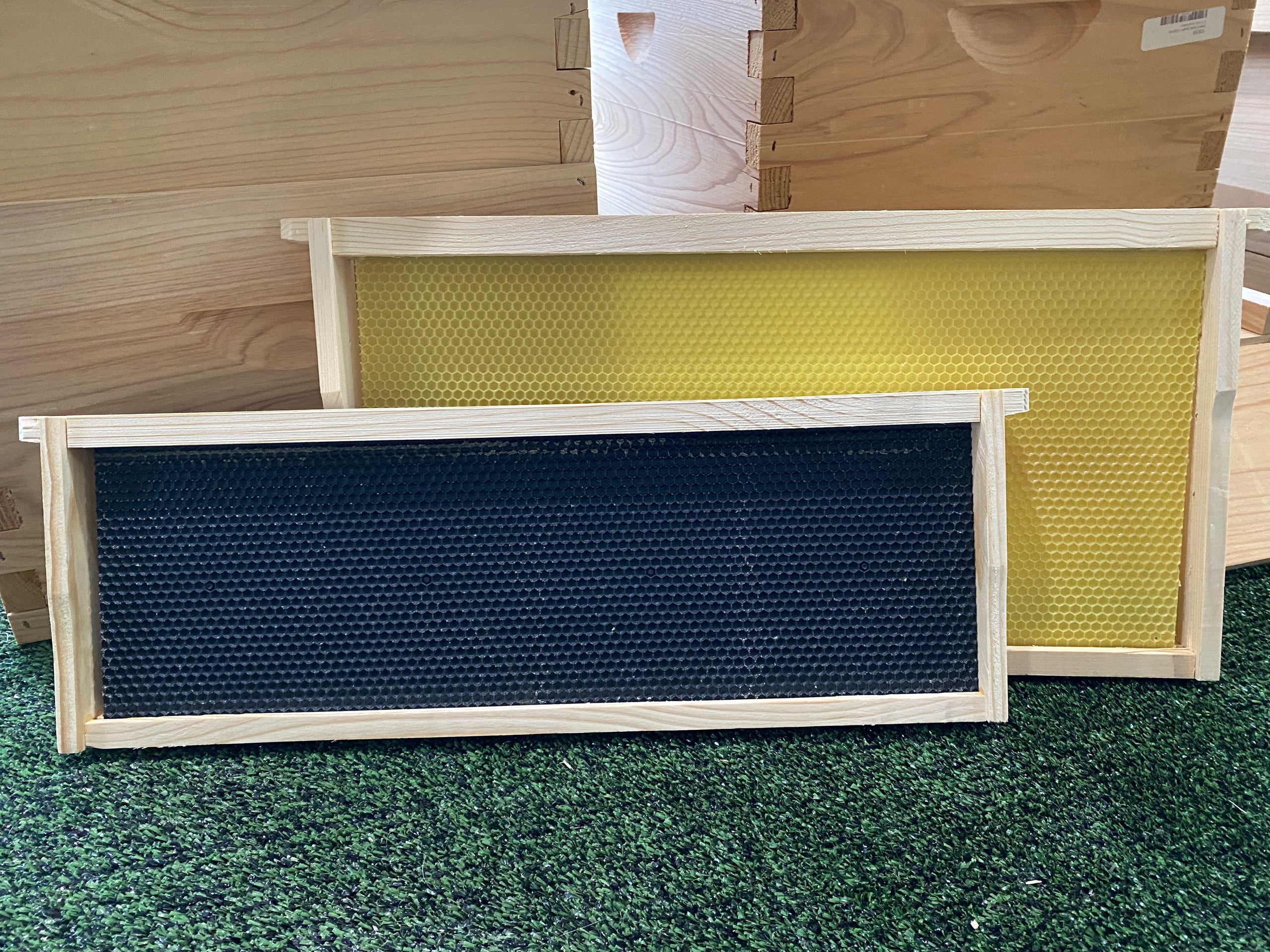 Single Deep White Plastic Frame and Foundation - Assembled | Forester ...