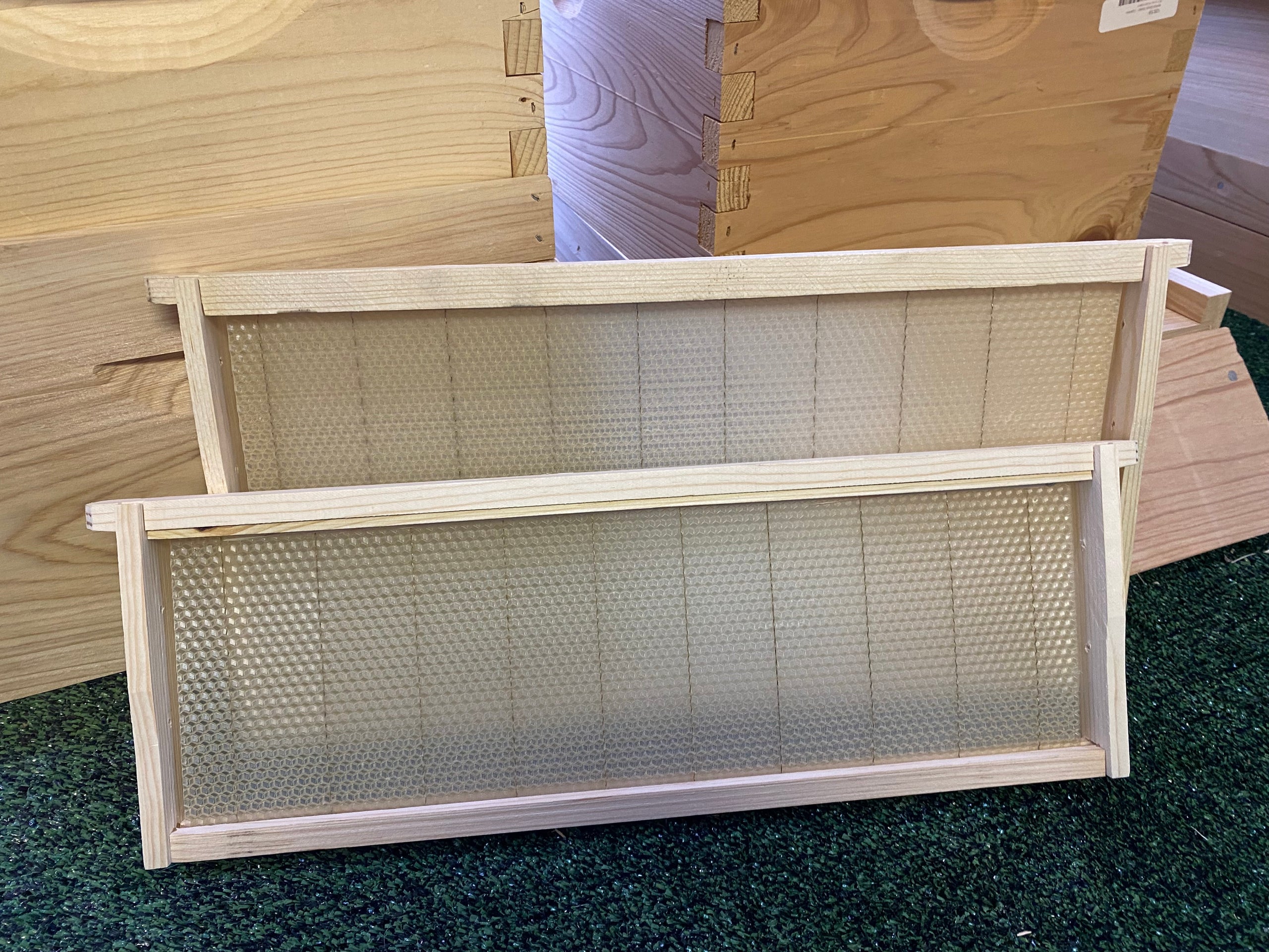 Single Medium Wax without Wire Frame and Foundation - Assembled | Forester Farms and Apiary